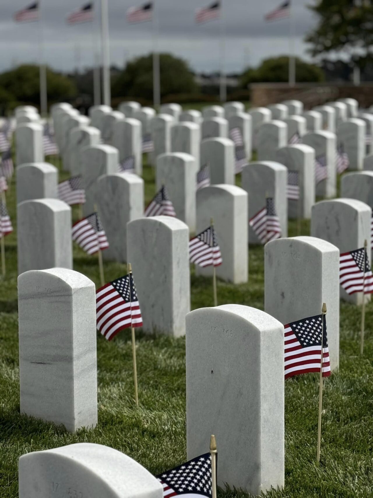 Operation Flags for Vets - 2024 - District Military Coordination Committee